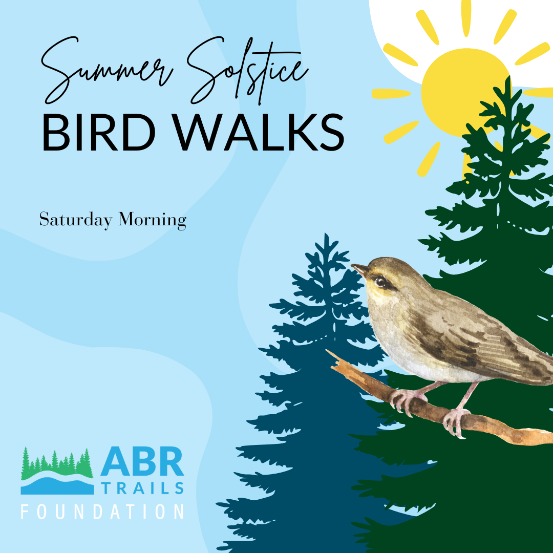 SUMMER BIRD WALKS- JUNE 21, 2025 – ABR Trails Foundation