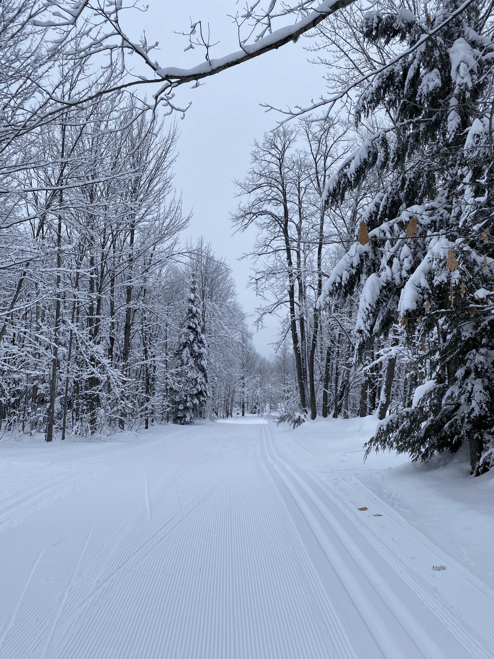 AN EFFORT TO MAXIMIZE EARLY SEASON NATURAL SNOW - ABR Trails Foundation