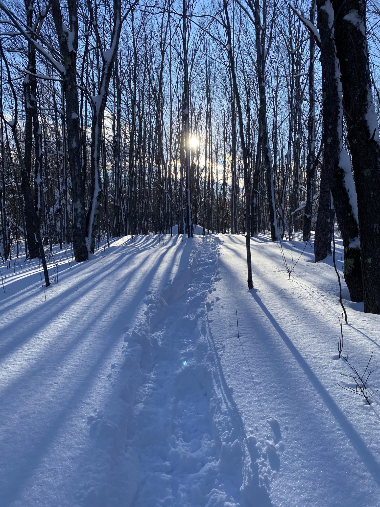 Snowshoeing – ABR Trails Foundation